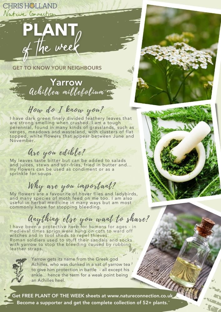 THE PLANT OF THE WEEK COLLECTION