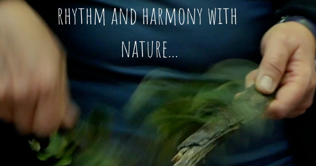 The Natural Musicians Playbook